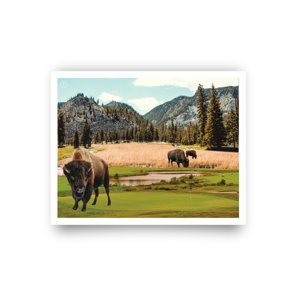 Yellowstone NP - Golf in the National Parks – LIE + LOFT